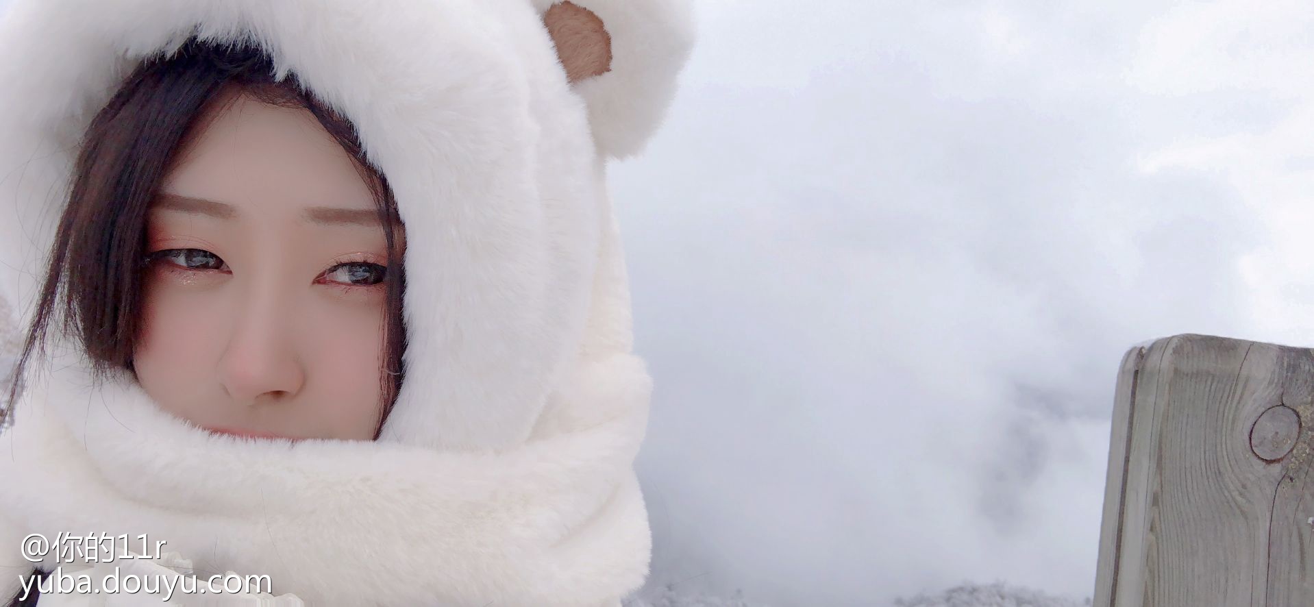 你的11r的鱼吧_斗鱼鱼吧