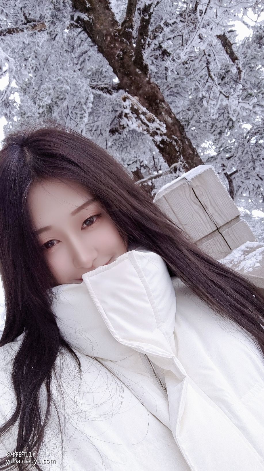 你的11r的鱼吧_斗鱼鱼吧