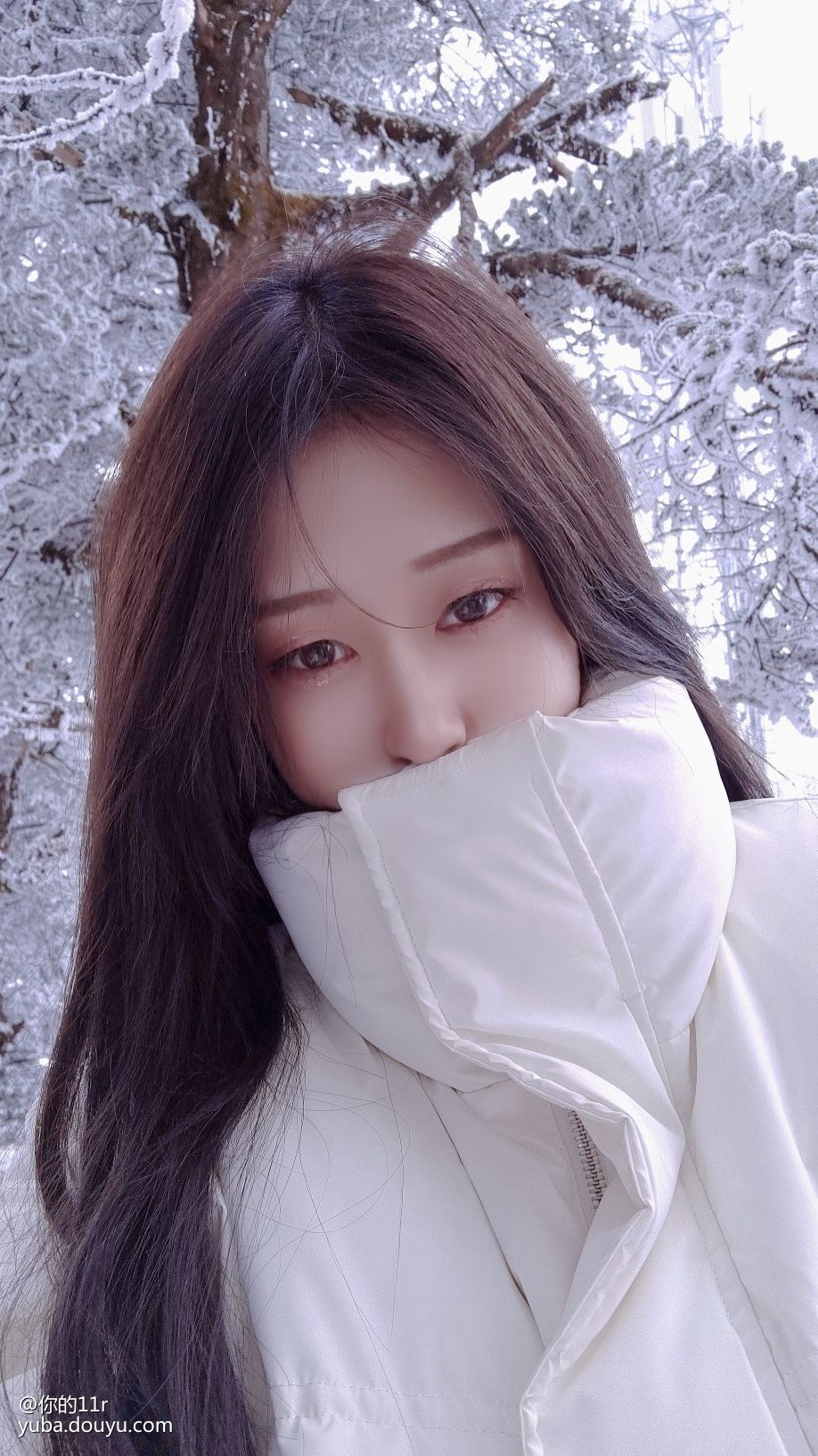 你的11r的鱼吧_斗鱼鱼吧